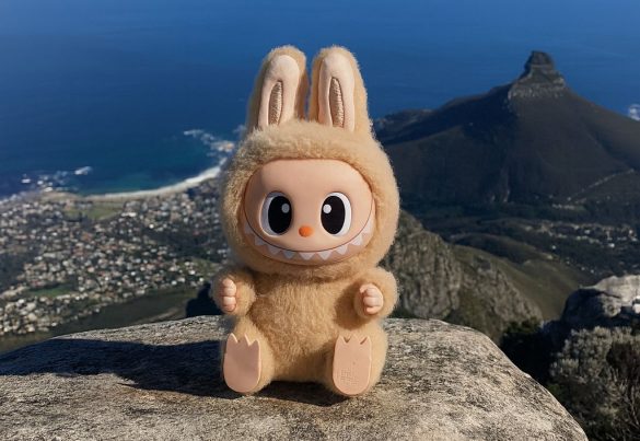 Labubu Dolls Now in South Africa: Where to get yours